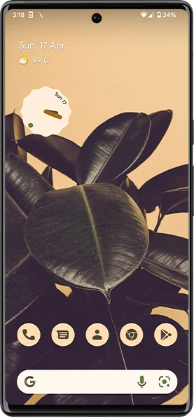 11 张适用于 Android 手机的精美 Pixel 6 Bloom 壁纸