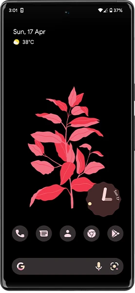 11 张令人惊叹的 Pixel 6 花朵灵感壁纸，适用于 Android 手机 - Pfrlju.com