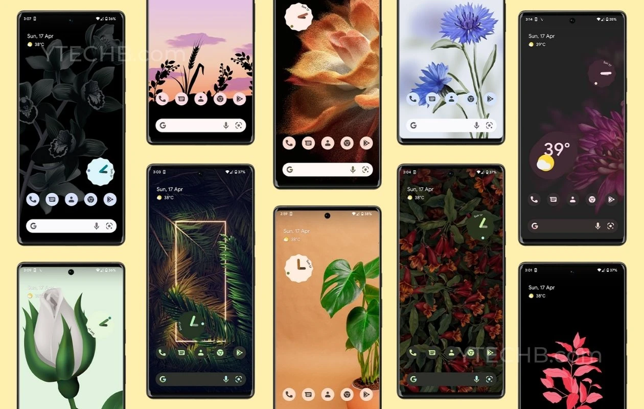 11 张令人惊叹的 Pixel 6 花朵灵感壁纸，适用于 Android 手机 - Pfrlju.com