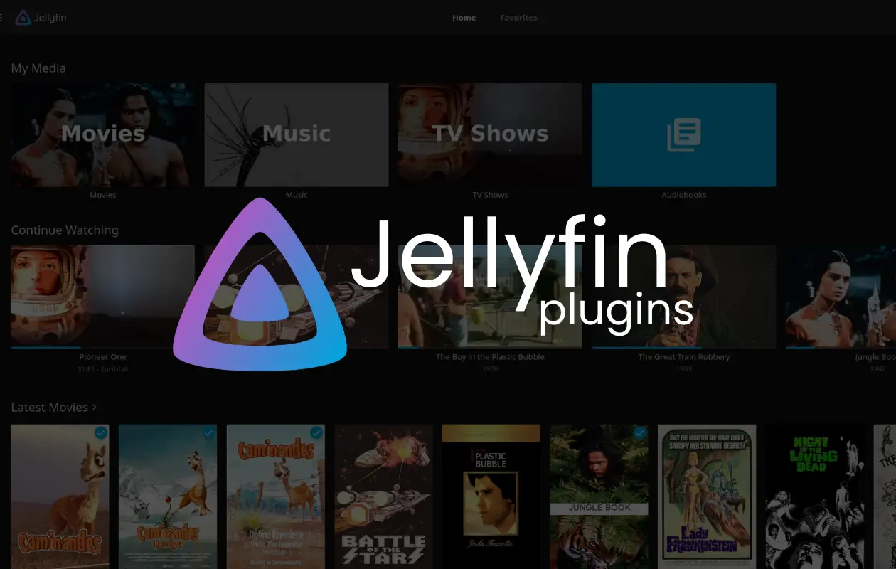 2025 年您应该安装的 10 个最佳 Jellyfin 插件 - Pfrlju.com