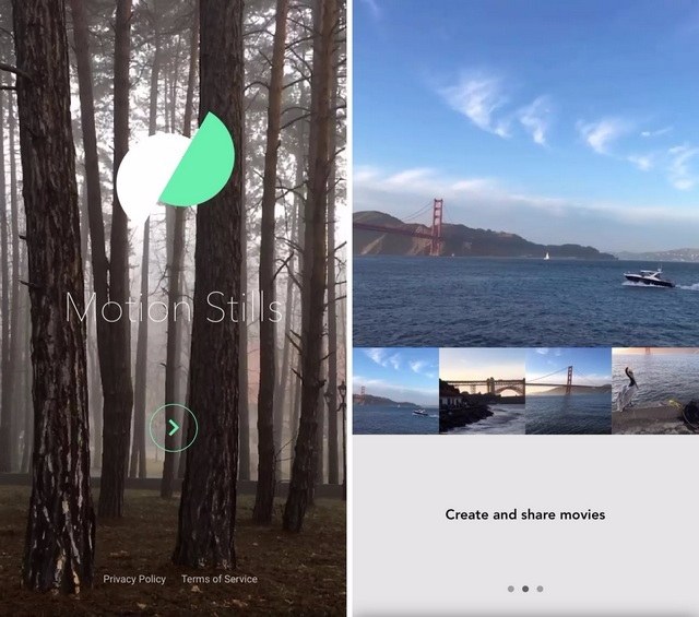 如何使用 Google Motion Stills 將 iPhone 即時照片轉換為 GIF